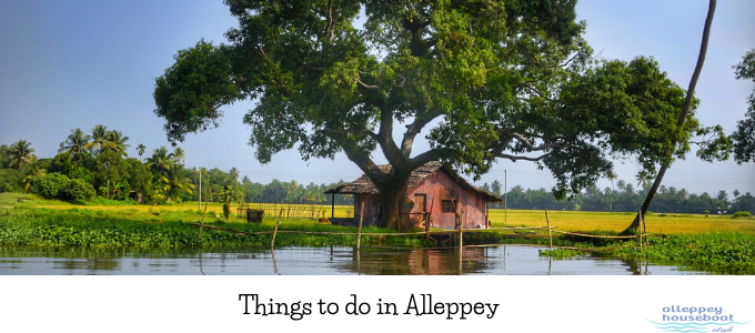 10 things To Do in Alleppey - Alleppey Houseboat Club